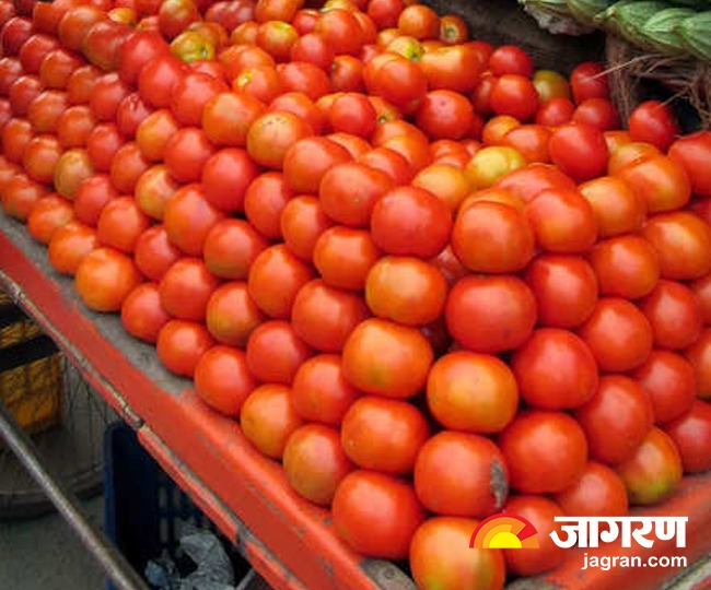 Tomato Price Hike: टमाटर ने छुड़ाए लोगों के पसीने, दो महीने बाद भी क्‍यों जारी है दामों में उछाल ...